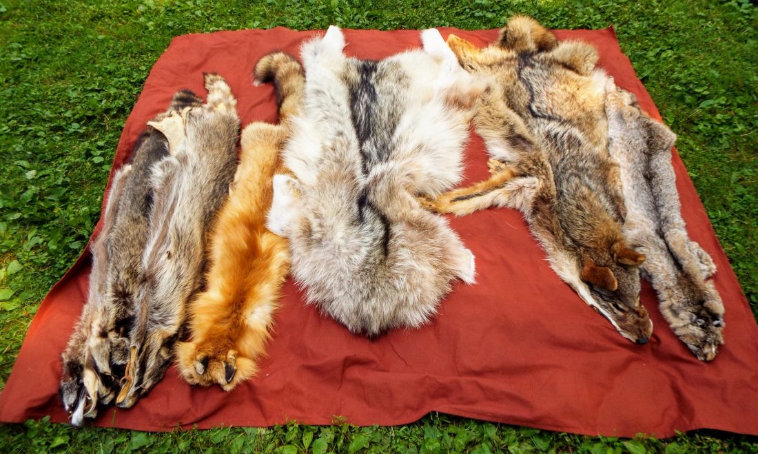 19TH CENTURY FUR TRADERS AT BEAVER CREEK STATE PARK | News, Sports ...